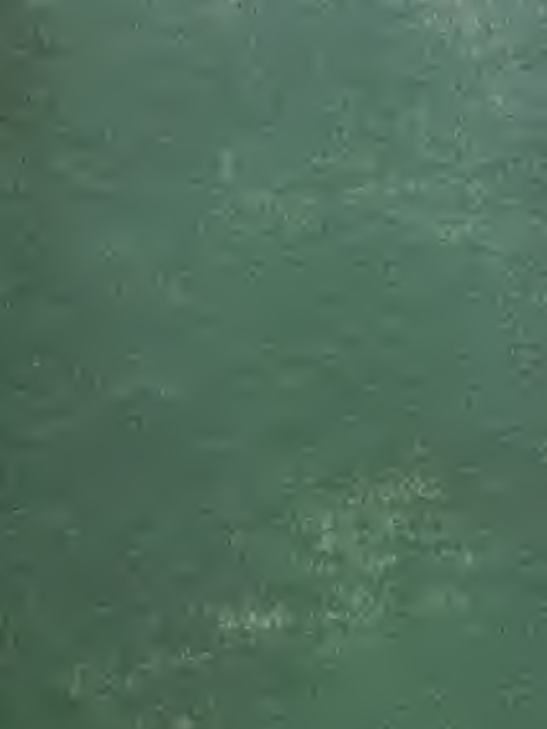 Appleton Morgan - An English Version of Legal Maxims (1878) | PDF