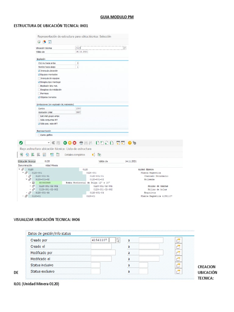 Guia Sap PM Hana | PDF