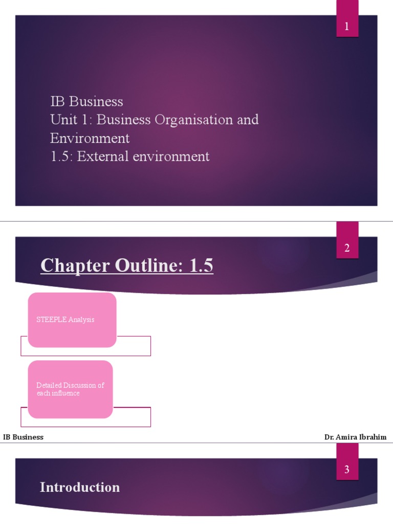 IB Business 1.5 | PDF | Enterprise Resource Planning | Economics