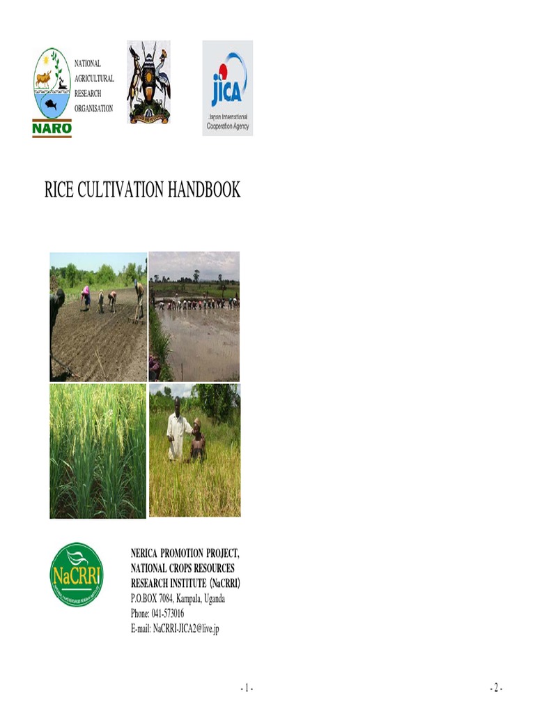 Rice Cultivation Handbook: National Agricultural Research Organisation ...