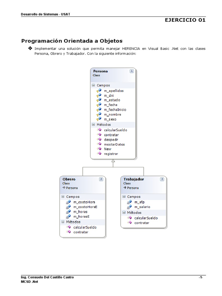 Herencia en POO con Visual Basic .Net | PDF | Paradigmas de programación | Desarrollo de productos