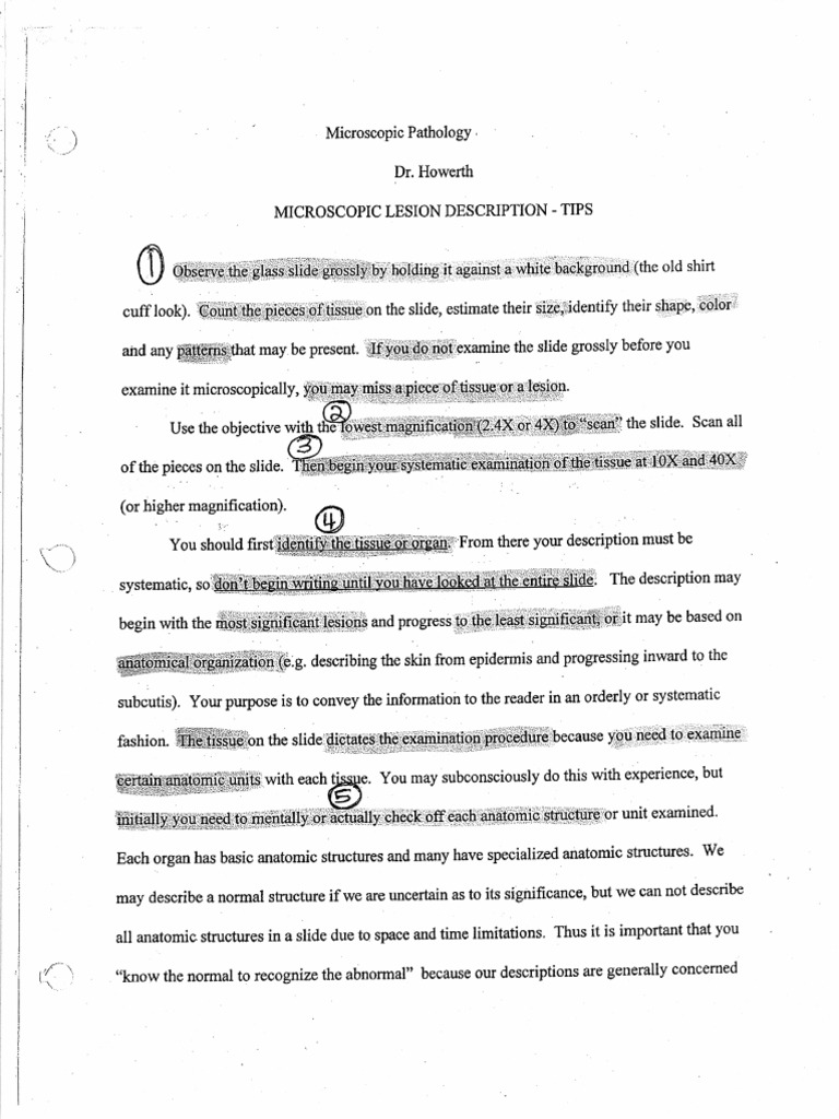 Microscopic Lesion Description - Tips | PDF
