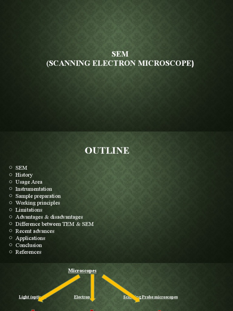 SEM (Scanning Electron Microscope) | PDF | Scanning Electron Microscope ...