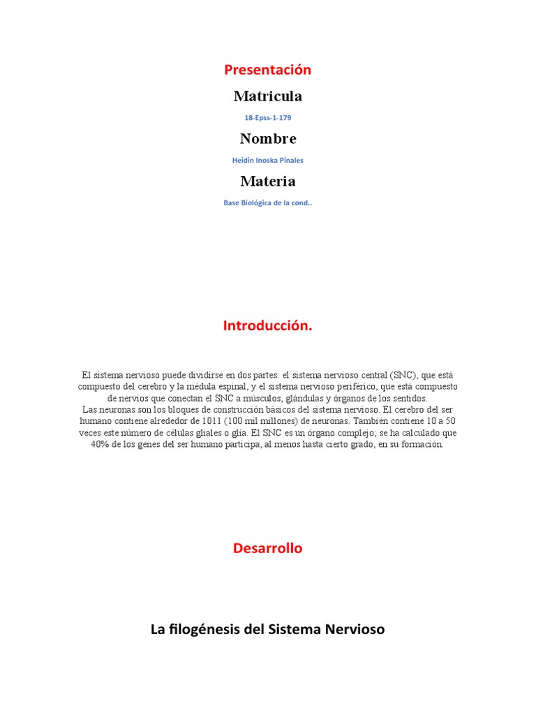 La Filogénesis Del Sistema Nervioso | PDF | Sistema nervioso | Sistema ...