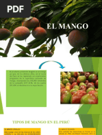 Exportación de Mango Peruano A China | PDF | Mango | Perú