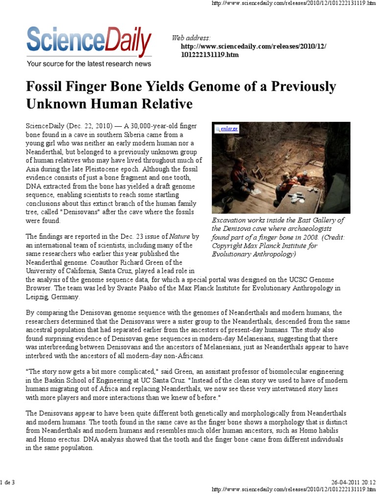 Fossil Finger Bone Yields Genome of A Previously Unknown Human Relative ...