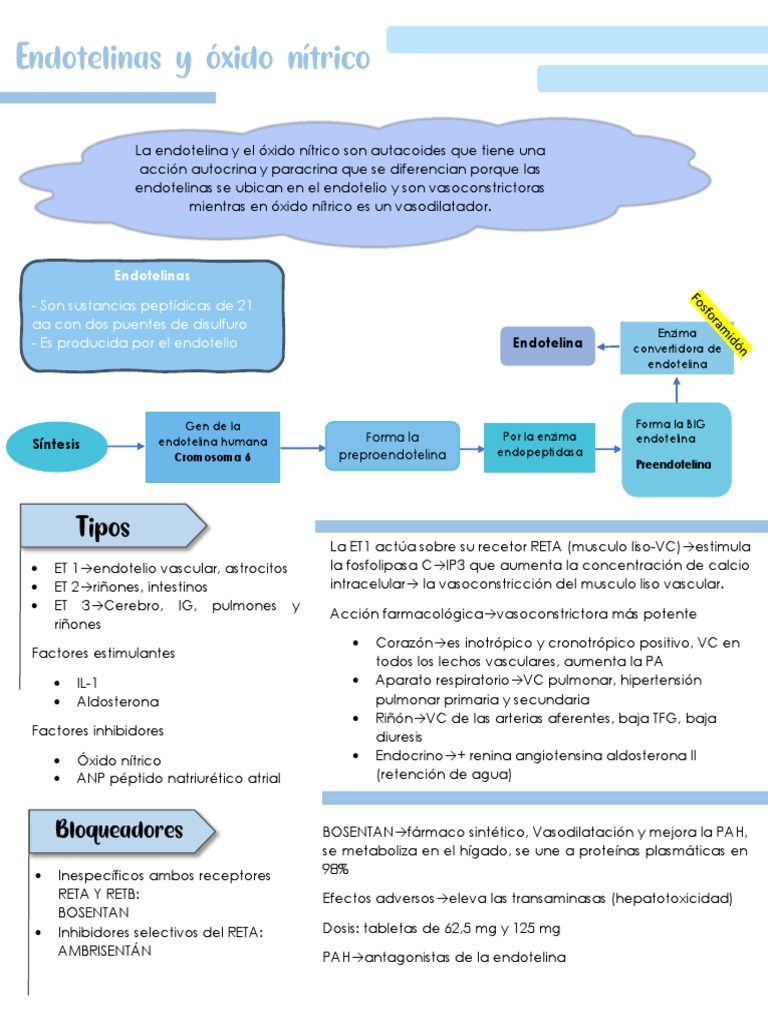 Endotelina y Oxido Nitrico | PDF | Endotelio | Especialidades Medicas