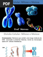 Modelo de Panfleto Editável (DST'S) Frente e Verso. Dobrar Ao Meio PPT ...