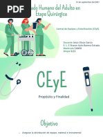 Organización de La Ceye y Subceye | PDF | Esterilización (Microbiología ...