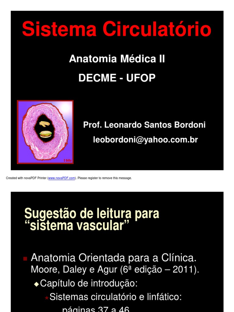 Sistema Circulatório | PDF | Sistema circulatório | Medicina Clínica