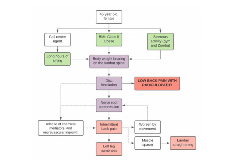 Back Pain Concept Map | PDF