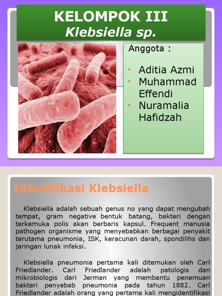 IDENTIFIKASI DAN PENGOBATAN KLEBSIELLA | PDF