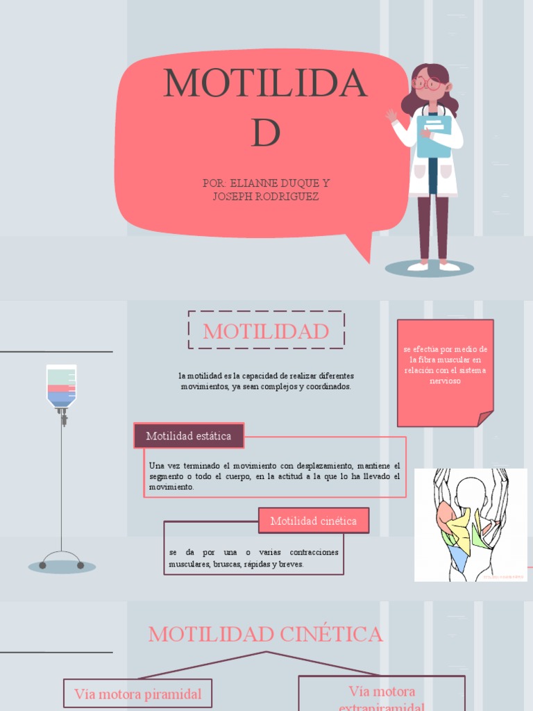 MOTILIDAD | PDF | Neurona motora | Músculo