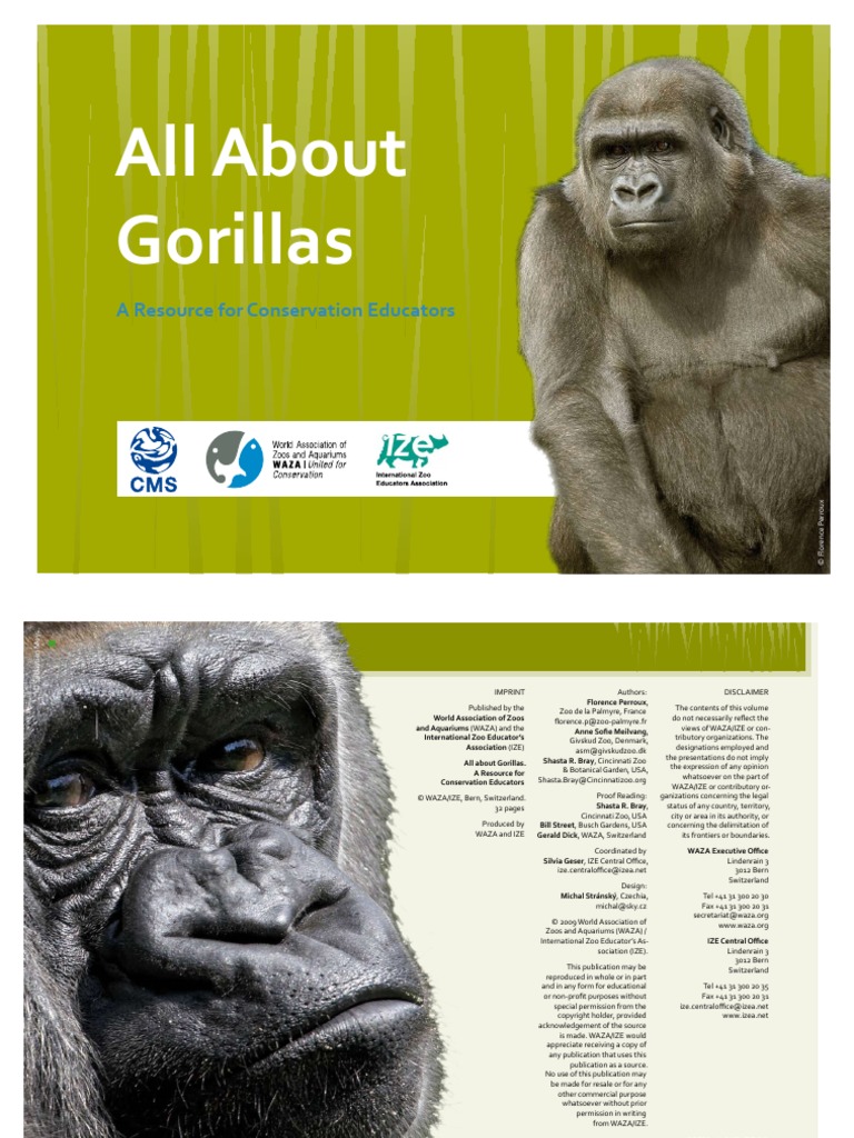 All About Gorillas: A Resource For Conservation Educators | PDF ...