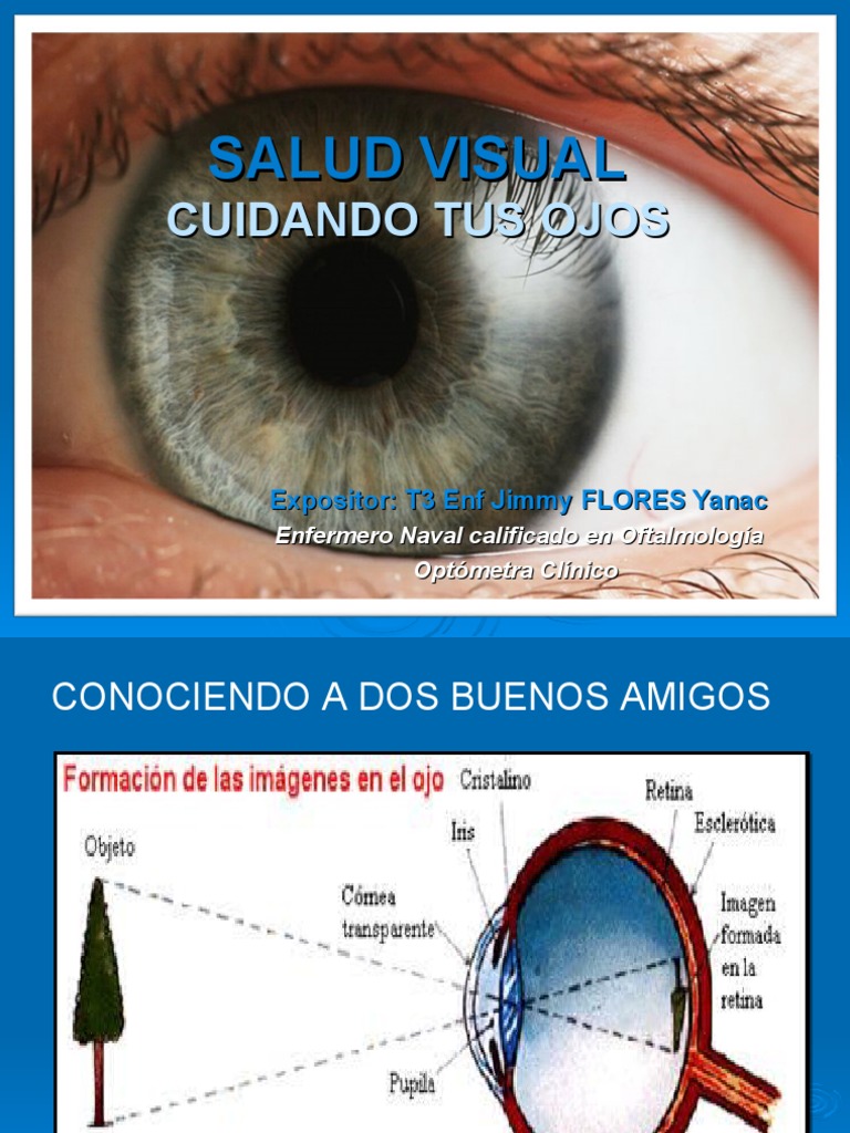 Guía de Salud Visual y Ocular | PDF | Ojo humano | Percepción visual