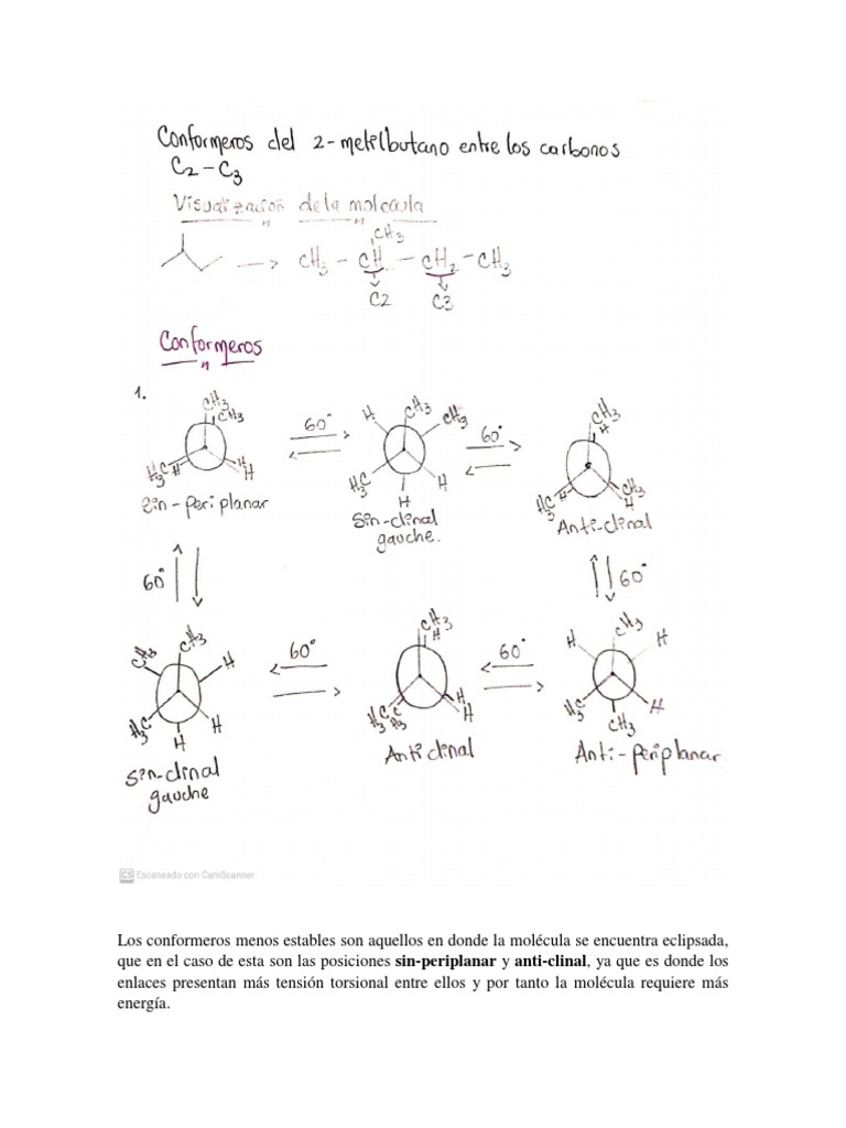 Analisis Conformacion Del 2metilbutano | PDF | Isomerismo ...