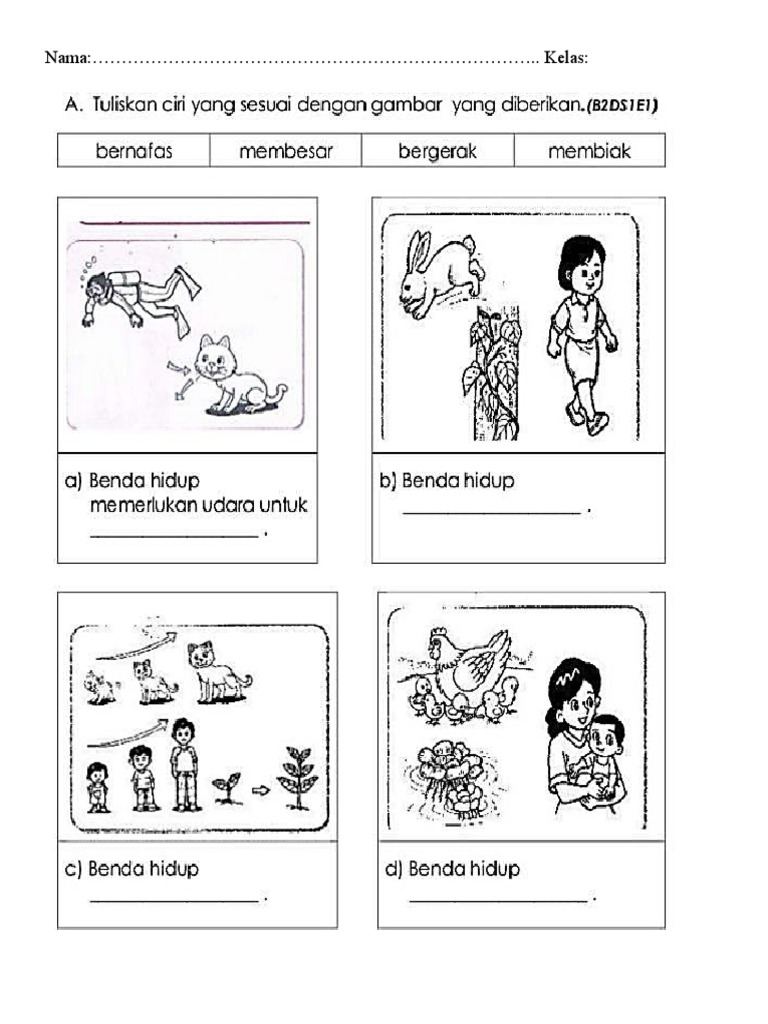 Ciri-Ciri Benda Hidup | PDF