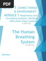 Detailed Lesson Plan Respiratory System | PDF | Respiratory Tract ...