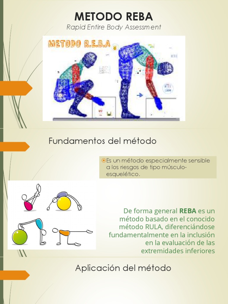 Aplicación Del Método Reba En Ergonomía Pdf