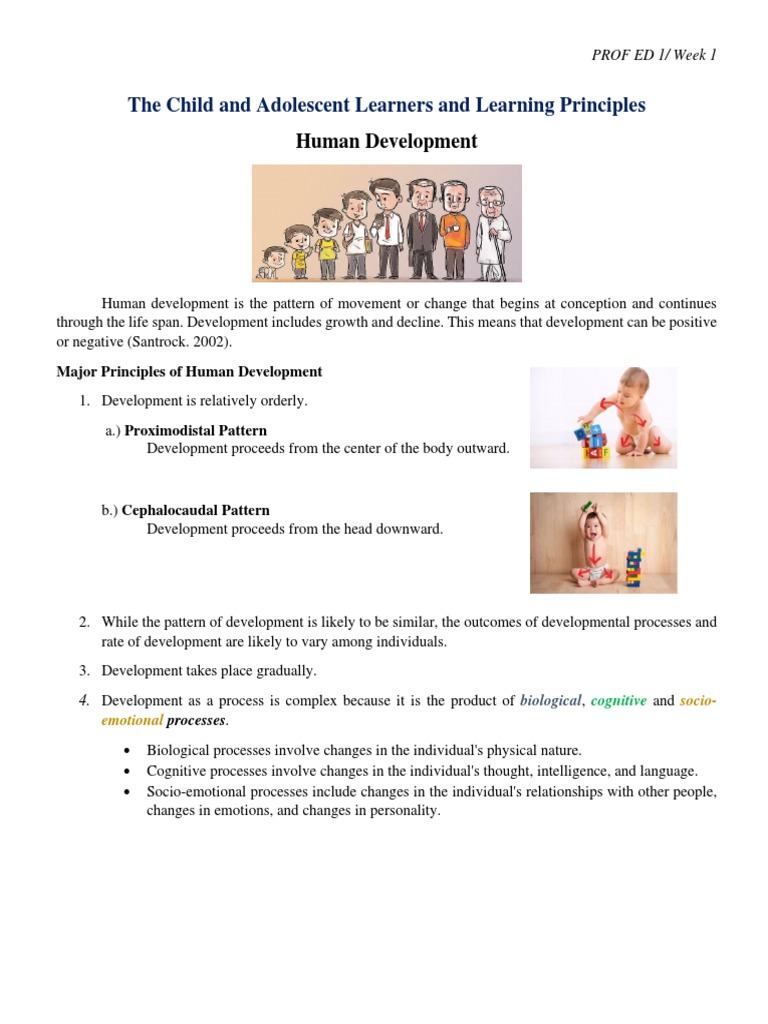 Module 1 | PDF | Relationships | Child Development