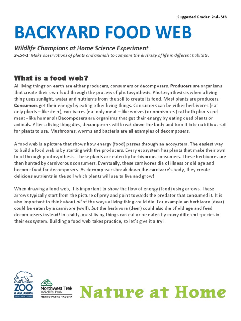 Backyard Food Web Exploration Guide | PDF | Food Web | Herbivore