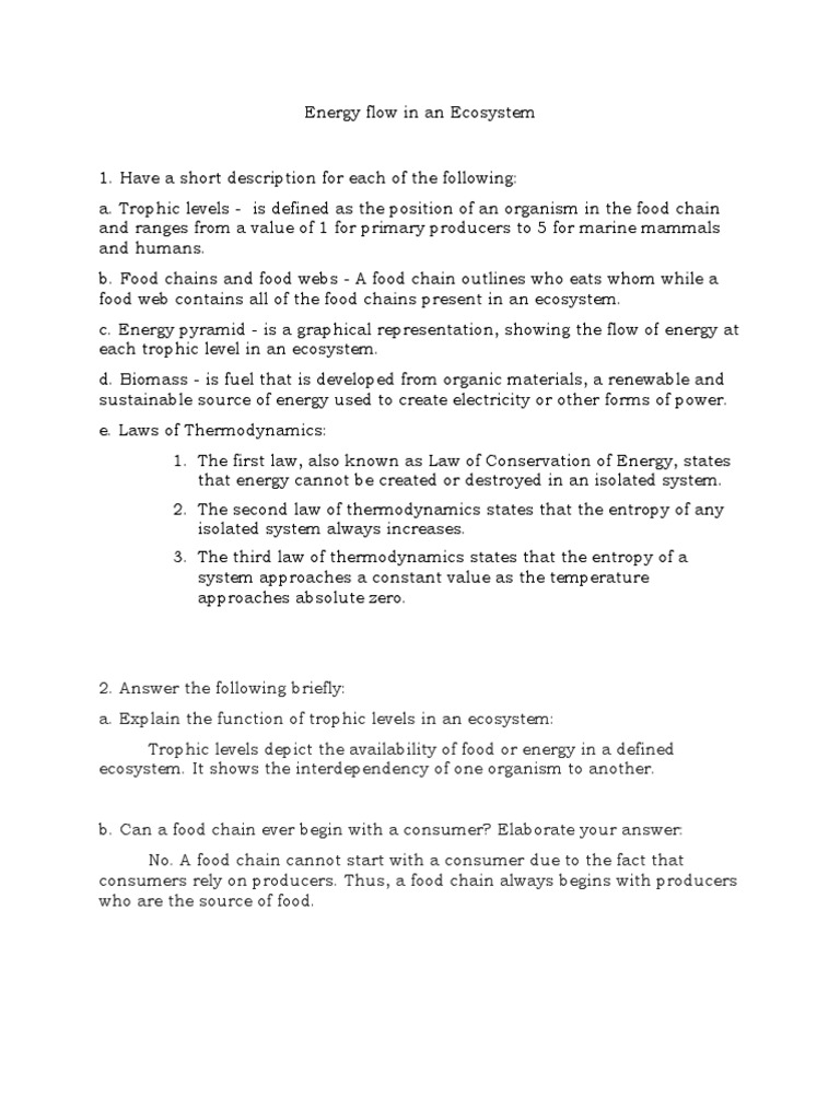 Energy Flow in An Ecosystem | PDF