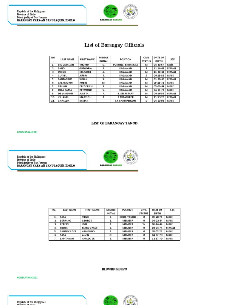 Barangay Officials of Cata-an, San Joaquin | PDF
