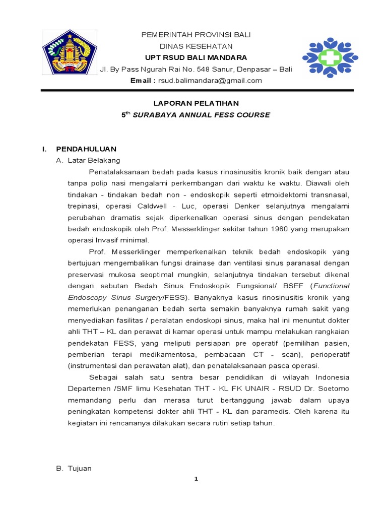 Laporan Fess Ke Diklat RSBM | PDF