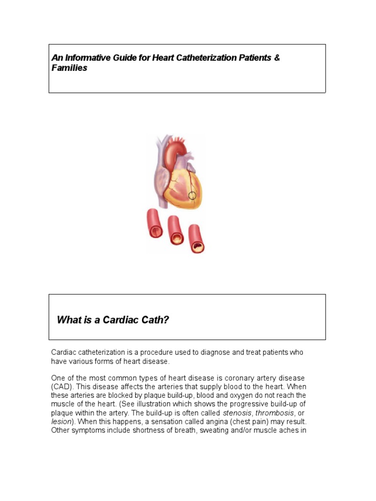 Cardiac Catheterization: Patient Guide | PDF | Percutaneous Coronary ...