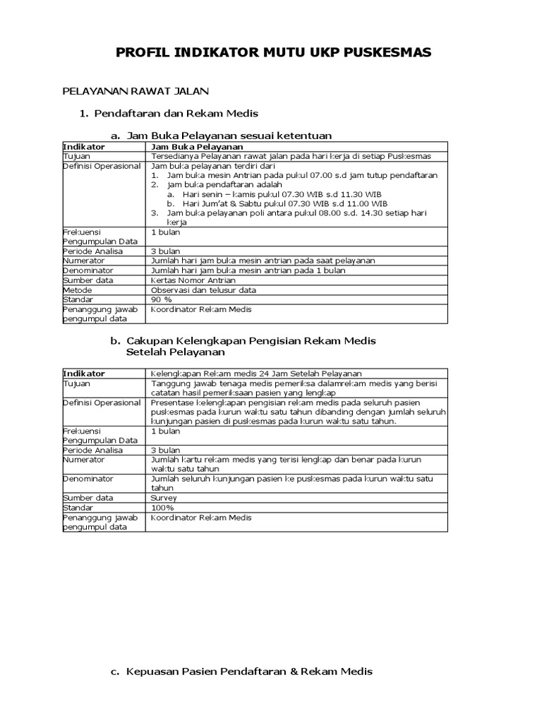 Profil Indikator Mutu Ukp Puskesmas | PDF