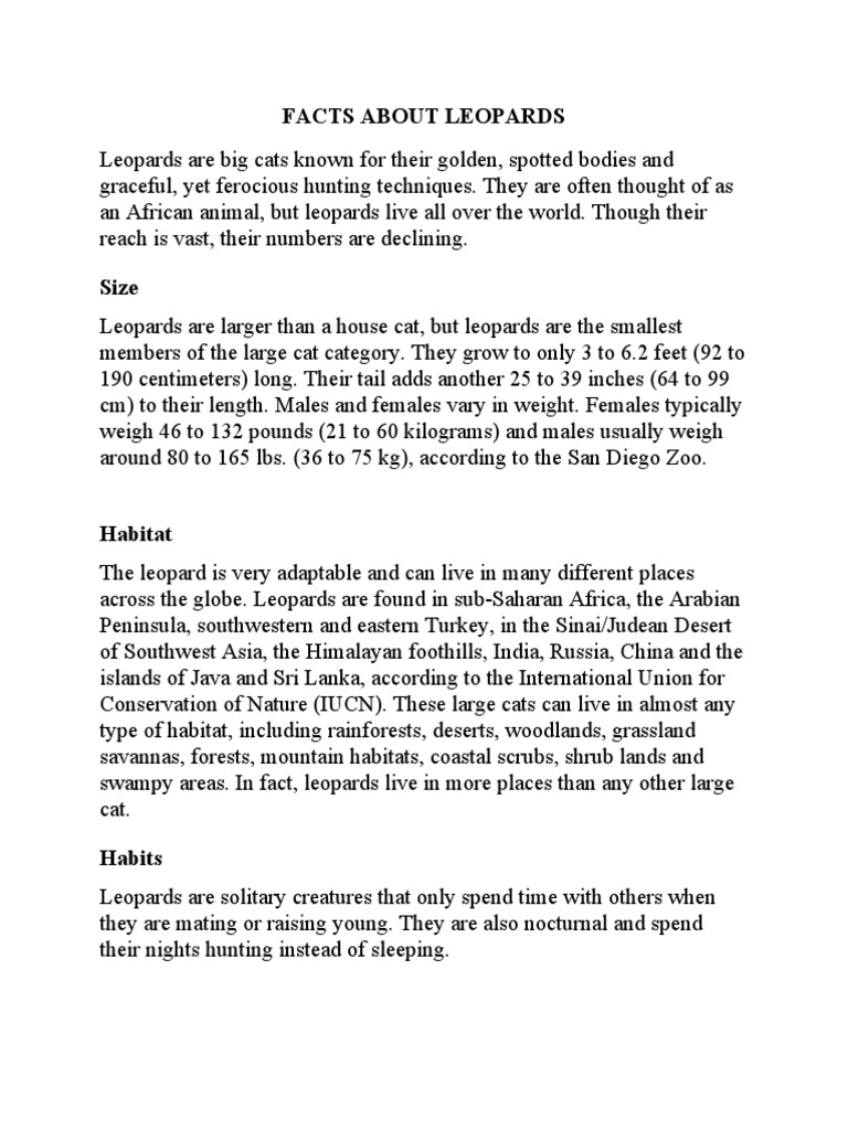Facts About Leopards | PDF | Leopard | Panthera