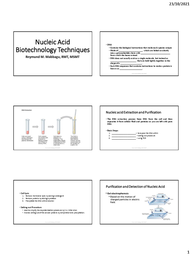 Nucleic Acid Biotech Techniques | PDF | Gel Electrophoresis | Agarose ...