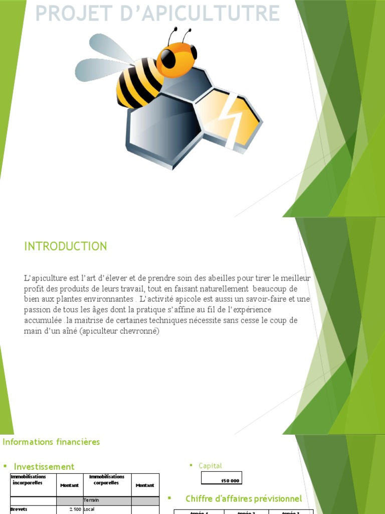 Présentation Apiculture | PDF | Prêts | Investir