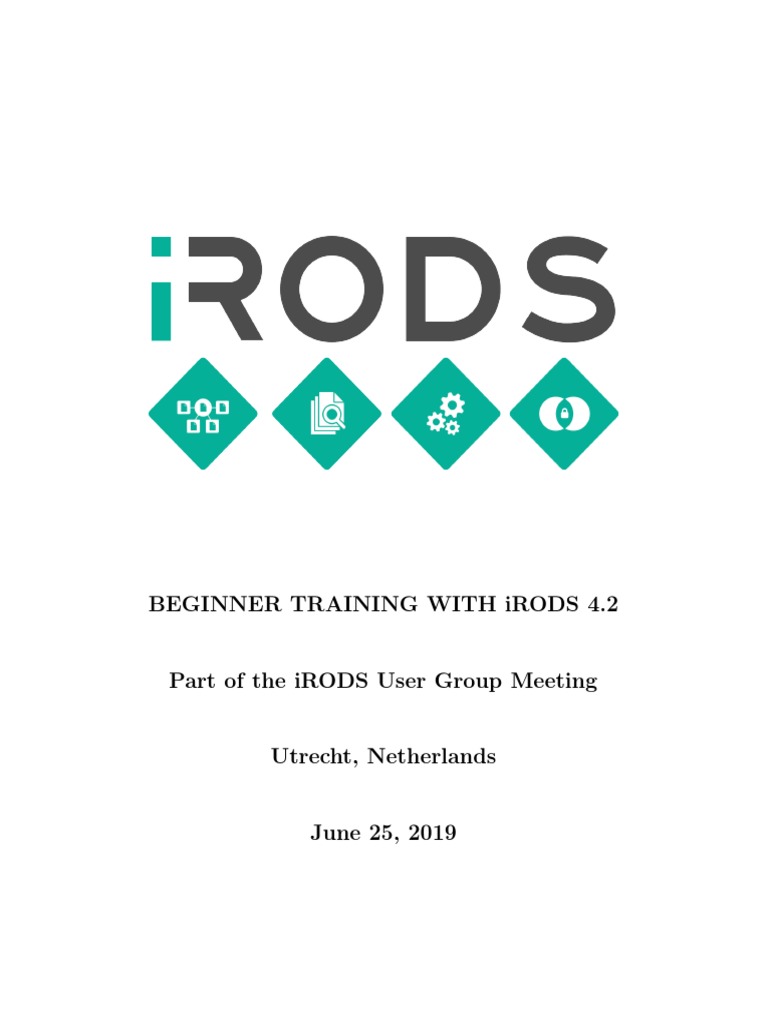 Irods Beginner Training 2019 | PDF | Information Age | Software Engineering