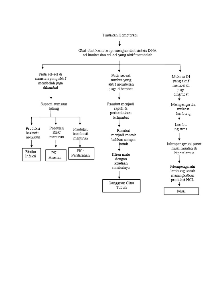 TINDAKAN KEMOTERAPI DALAM PENANGANAN AKUT LIMFOBLASTIC LEUKEMIA | PDF