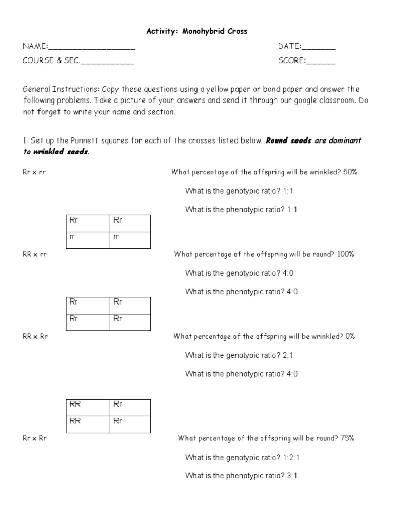 Monohybrid Cross Activity Pdf Zygosity Genotype