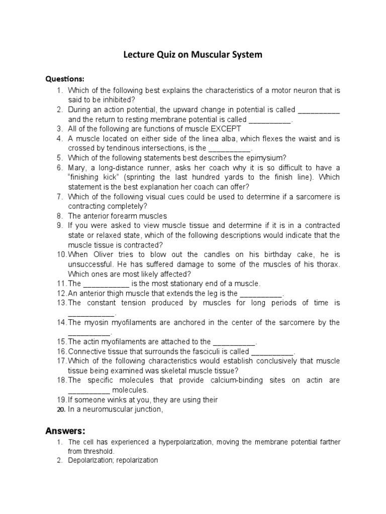 Muscular System Lecture Quiz | PDF | Chemical Synapse | Muscle