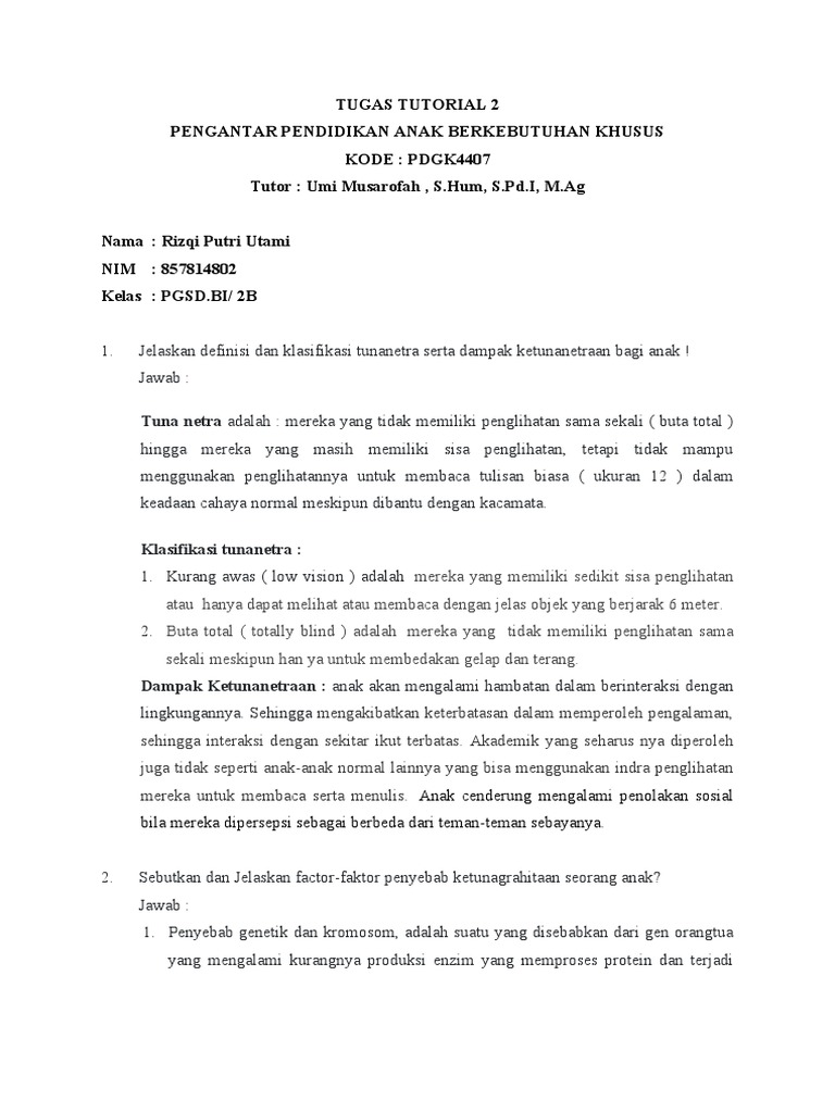 TT 2 Bu Umi Pengantar Pendidikan ABK | PDF | Karier & Perkembangan | Kesehatan Holistik