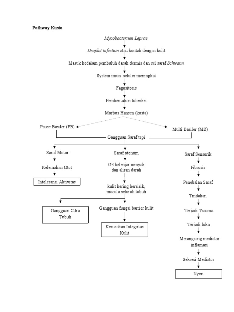 Pathway Kusta | PDF