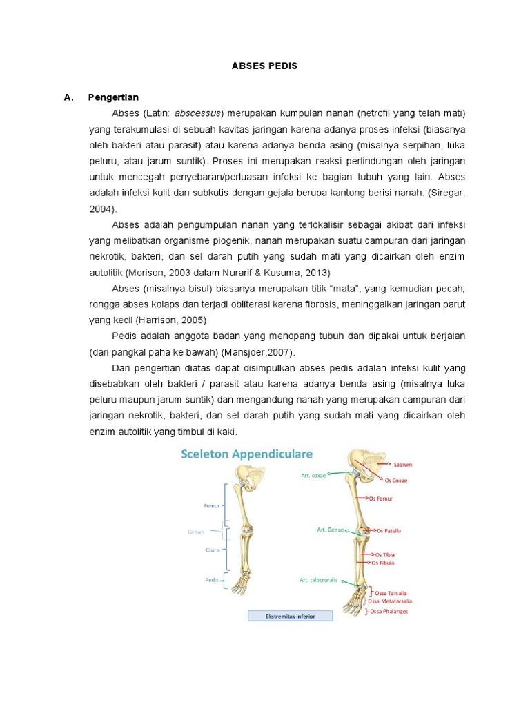Abses-Pedis 1 | PDF | Sains & Matematika