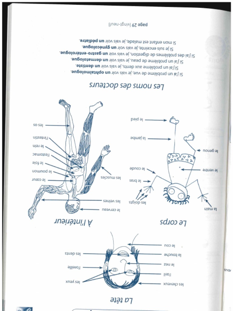29 Chez Le Médecin Les Mots Du Corps | PDF