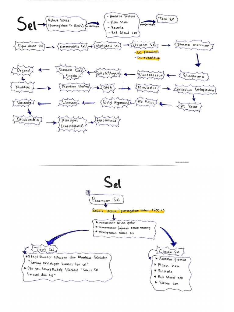 Sel - Mind Map | PDF