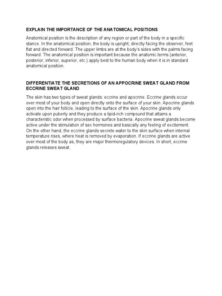 Explain The Importance of The Anatomical Positions | PDF