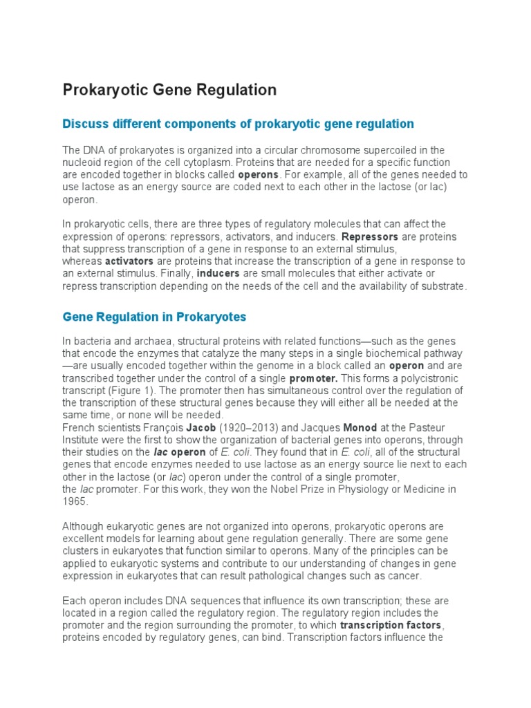 Prokaryotic Gene Regulation | PDF | Operon | Repressor