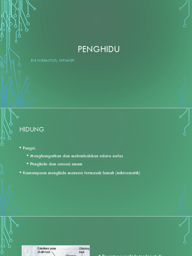 Fungsi dan Reseptor Penghidu serta Pengecap | PDF