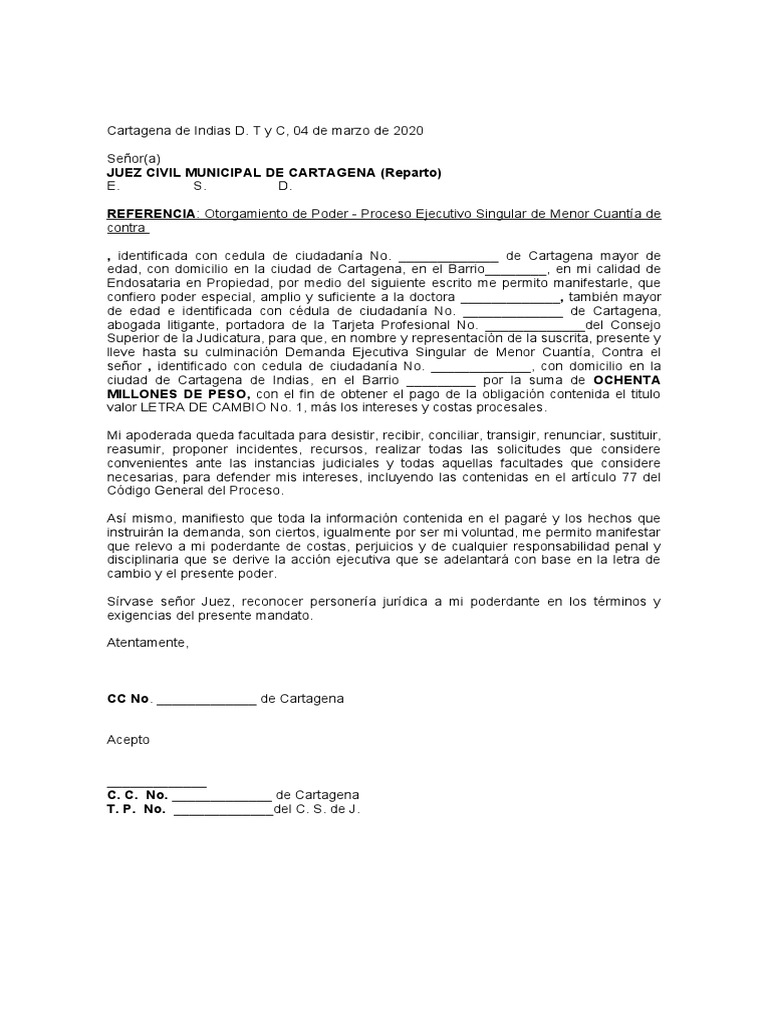 Poder Demanda Ejecutiva Con Letra de Cambio Endosada | PDF | Finanzas y dinero | Ciencias sociales