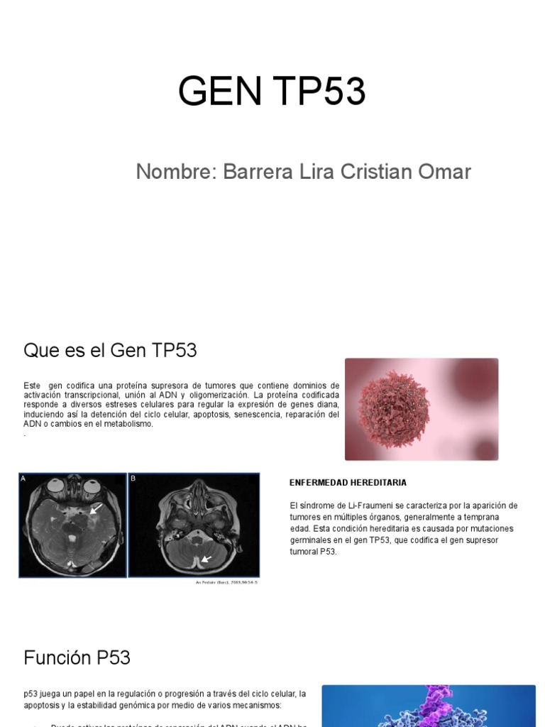 Gen TP53 | PDF | P53 | Gen supresor de tumores