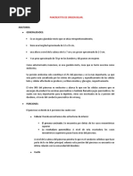 Fisiopatología Del Páncreas Exocrino | PDF | Páncreas | Especialidades ...
