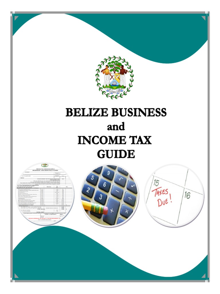 Business Income Tax Guide Final | PDF | Corporate Tax | Taxes