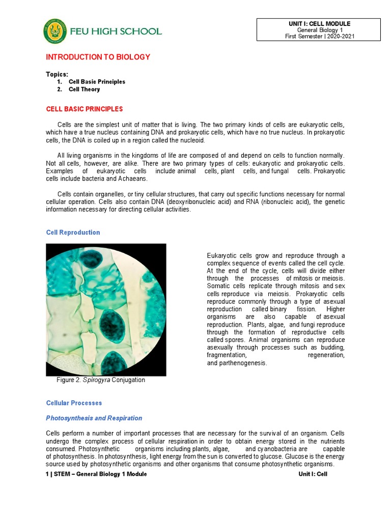 Module 2 - Basic Principles of Cell & Cell Theory | PDF | Cell (Biology ...